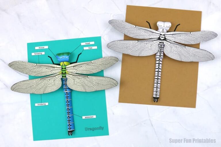 3D paper dragonfly - The Craft Train