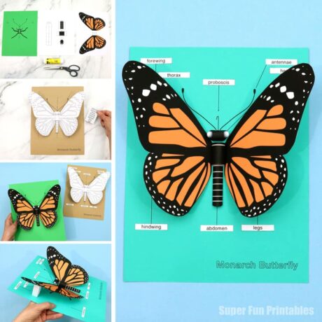 3D monarch butterfly paper craft - The Craft Train
